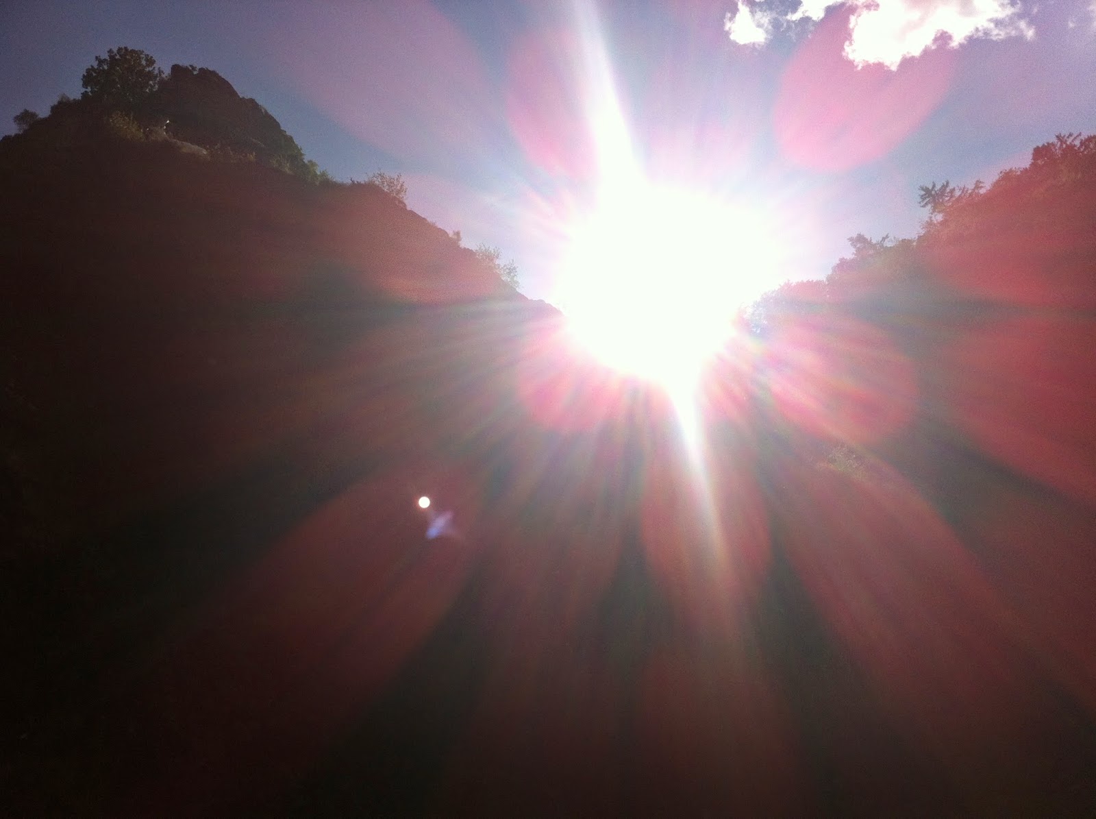 Family Nights: (Vakantie) Serie: Schepping dag 4