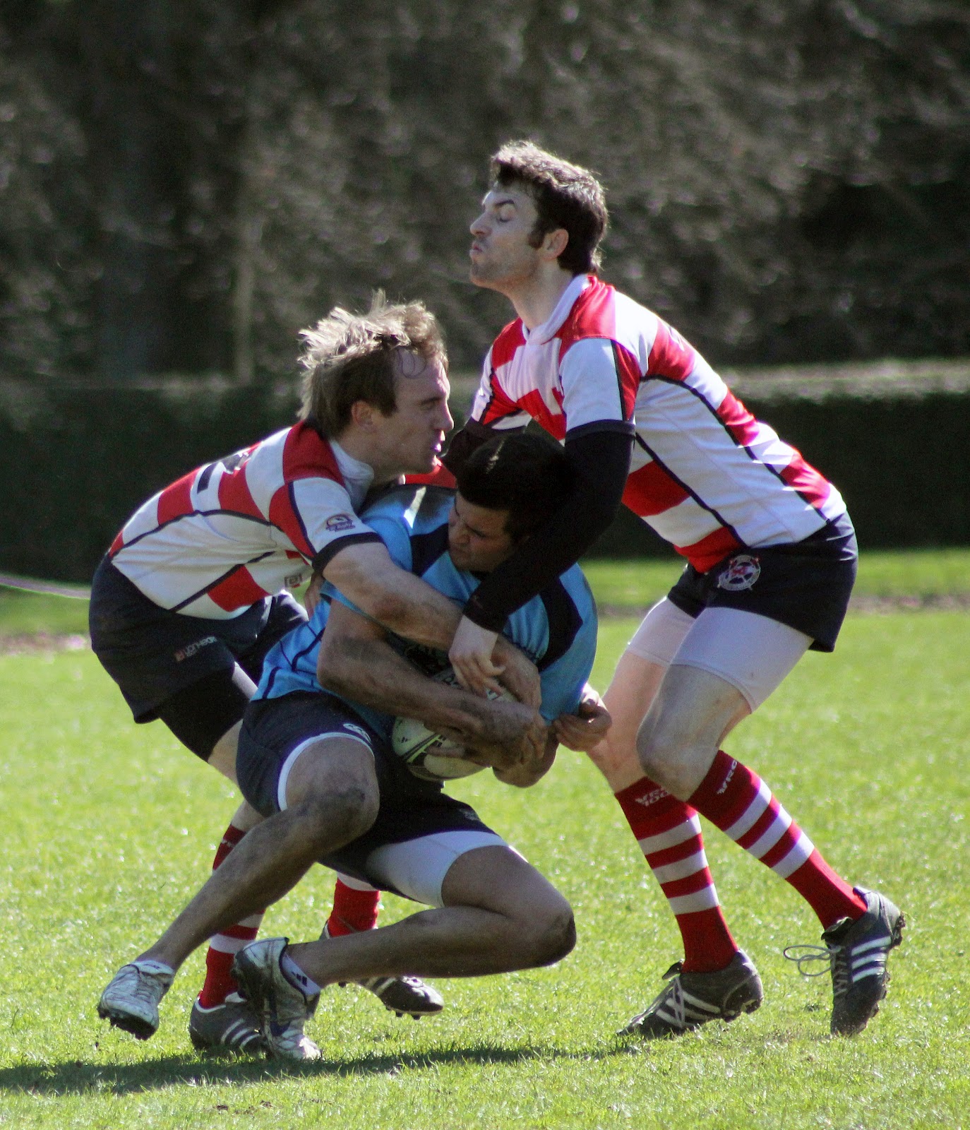 VRC Rugby: VRC Nation: Photo of the day