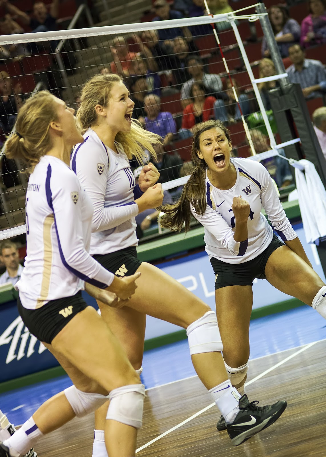 Volleyblog Seattle: NCAA | Washington volleyball remains high in ...