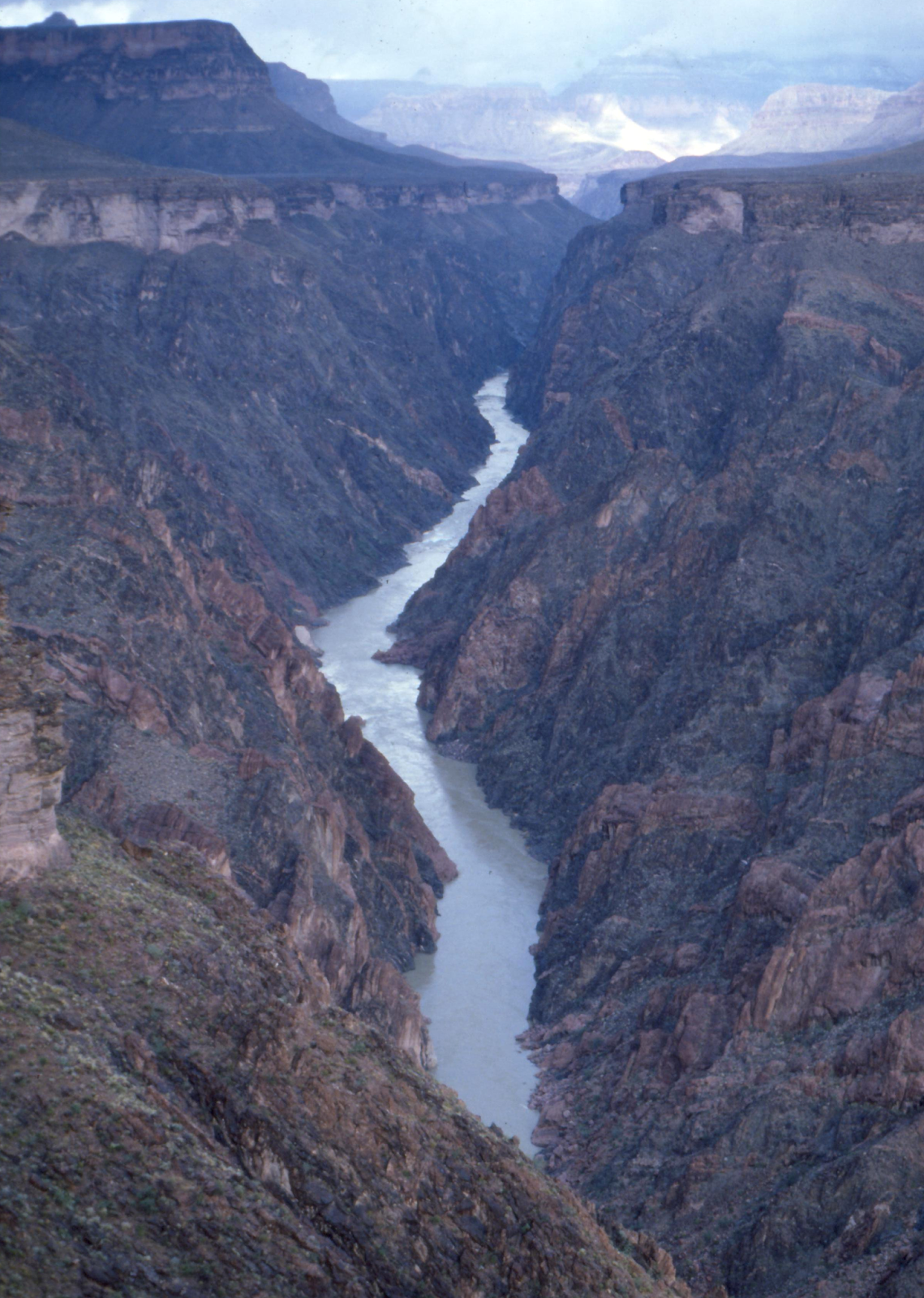 American Idyll: Here Is The Prize That You Have Won