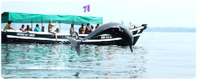 Honeymoon Packages Goa: How You Can Enjoy Your Goa Honeymoon Wonderfully?