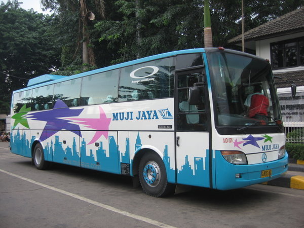 Jenis dan Tipe Bus Indonesia | Firman Koga