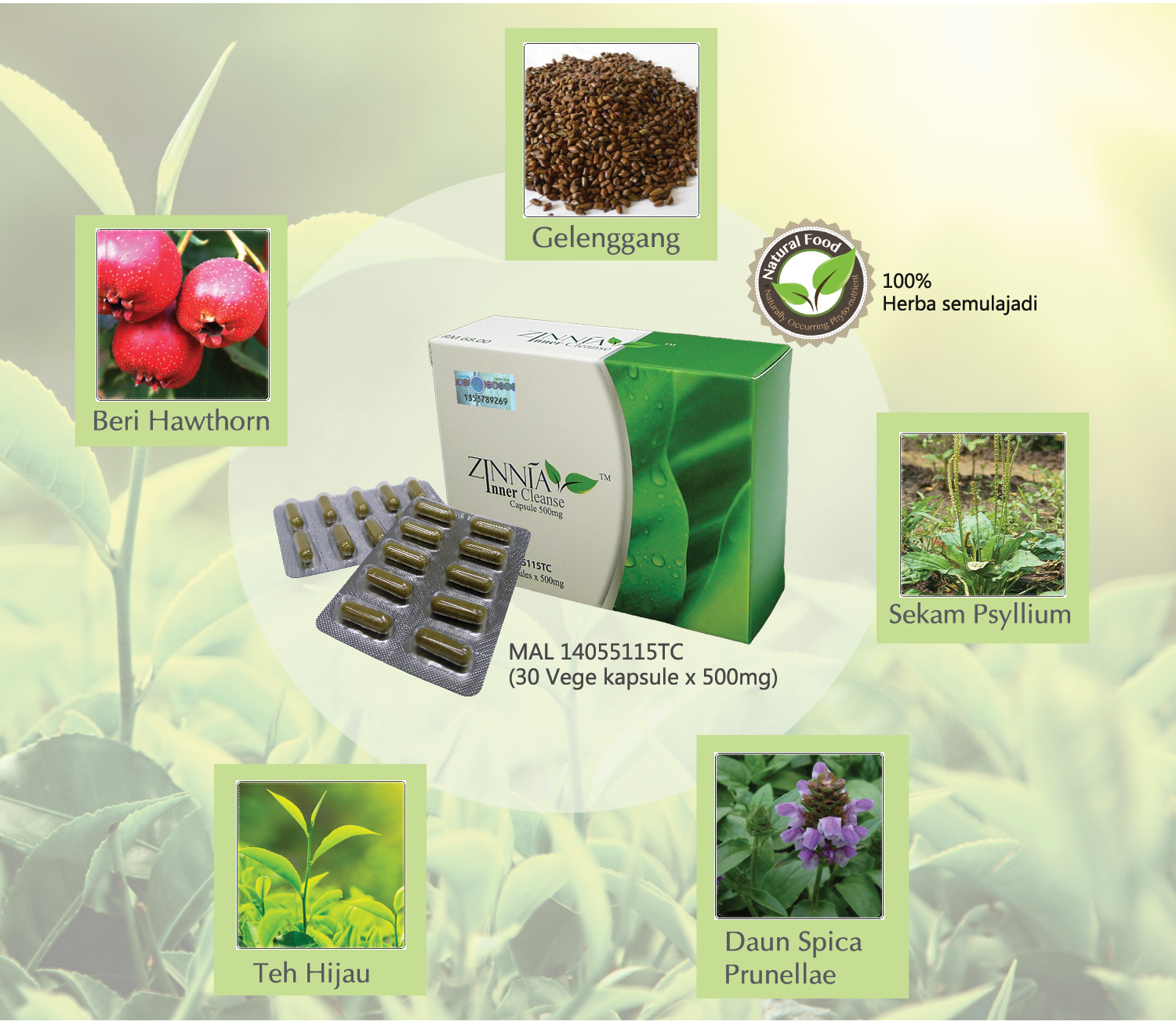 Blog Lea Azleeya: Jom Kurus Bersama Zinnia Inner Cleanse