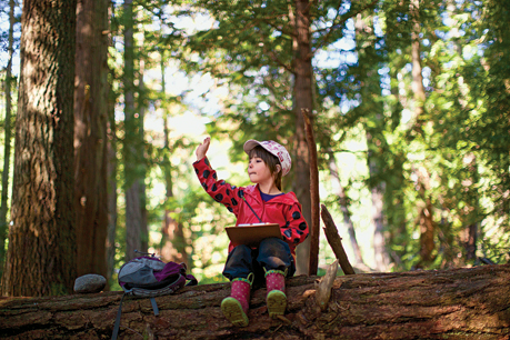 Not Buying Anything: Forest Schools Connect Kids With Nature