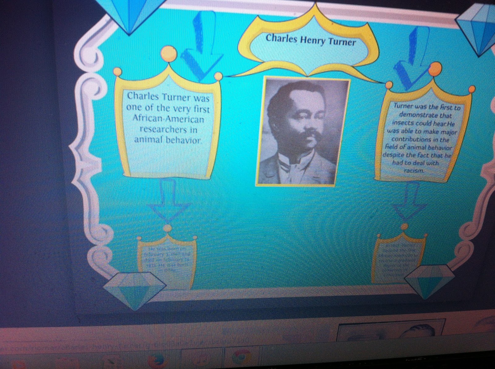 THE BLACK SOCIAL HISTORY:: BLACK SOCIAL HISTORY : AFRICAN AMERICAN ...