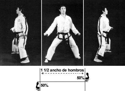 ACADEMIA OH DO KWAN - INGENIO: Posiciones o posturas (Sogui)