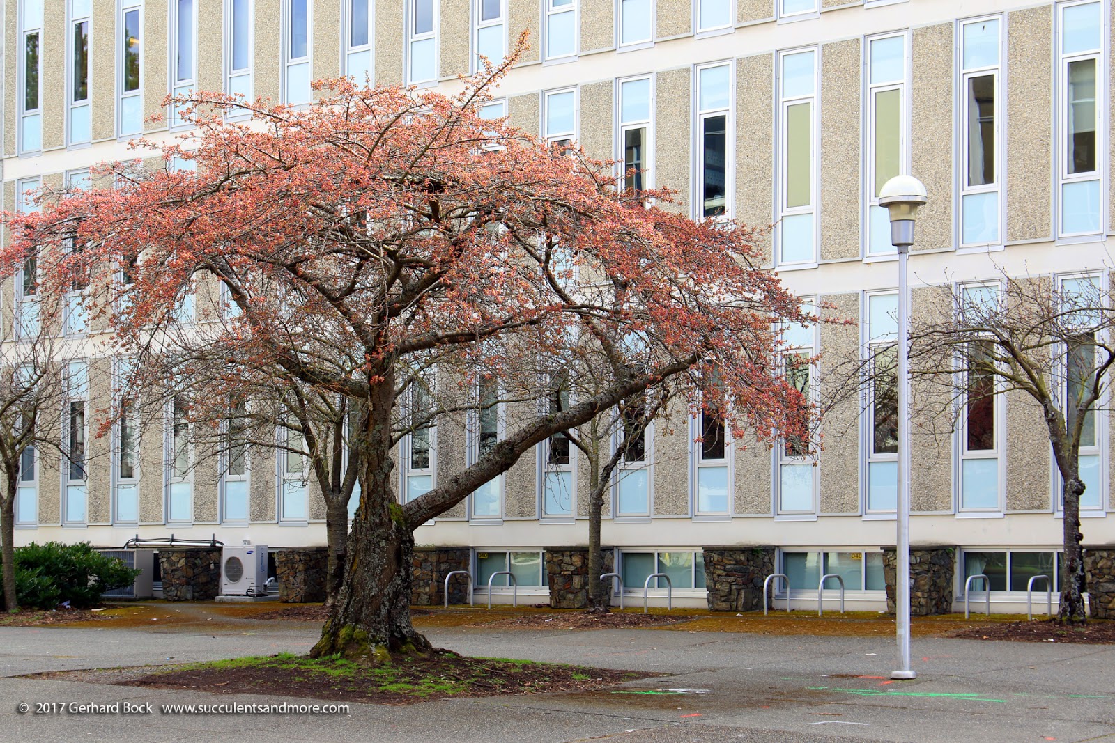 Vignettes from Victoria I