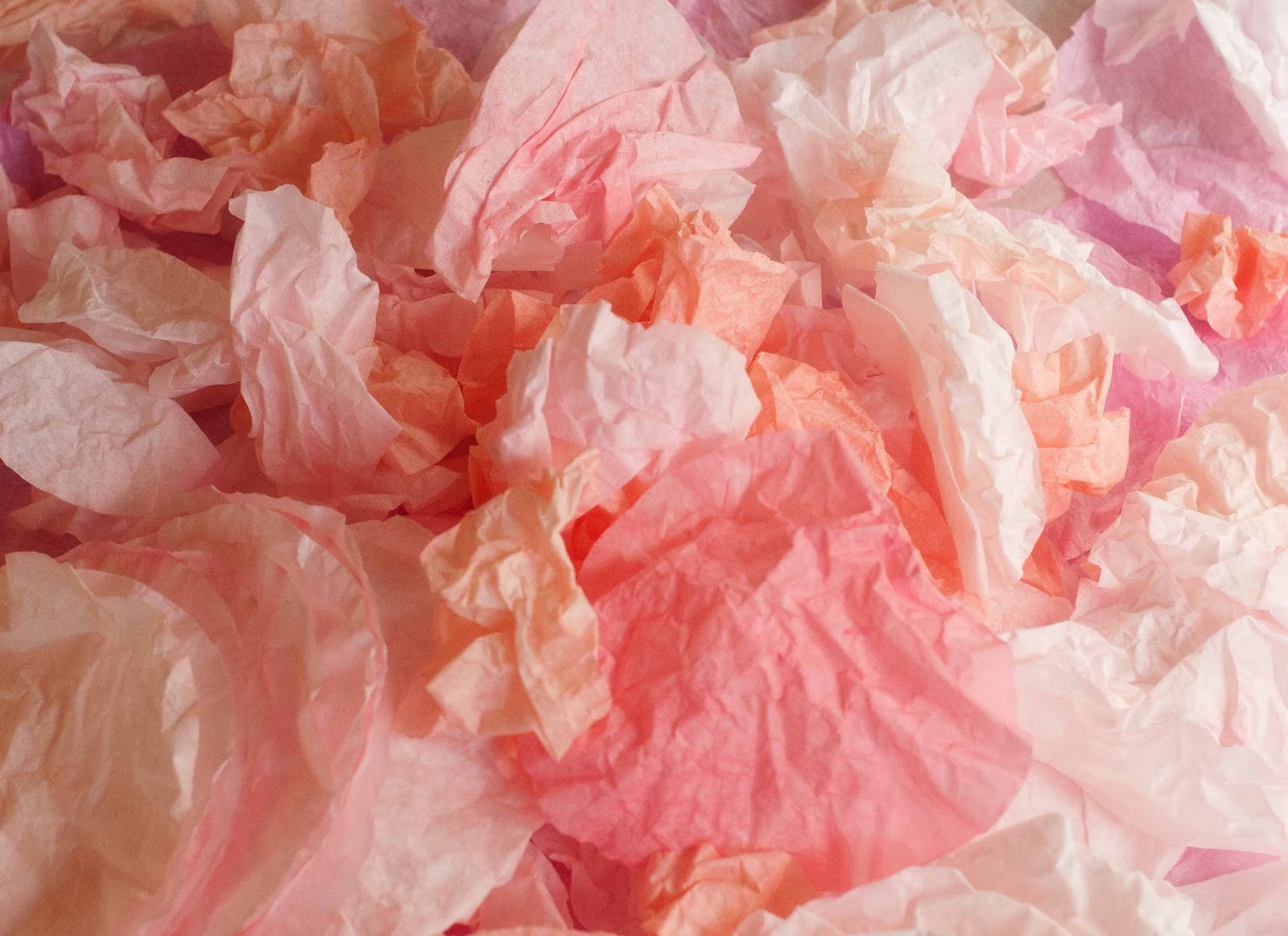 Plays With Needles: Paper Roses