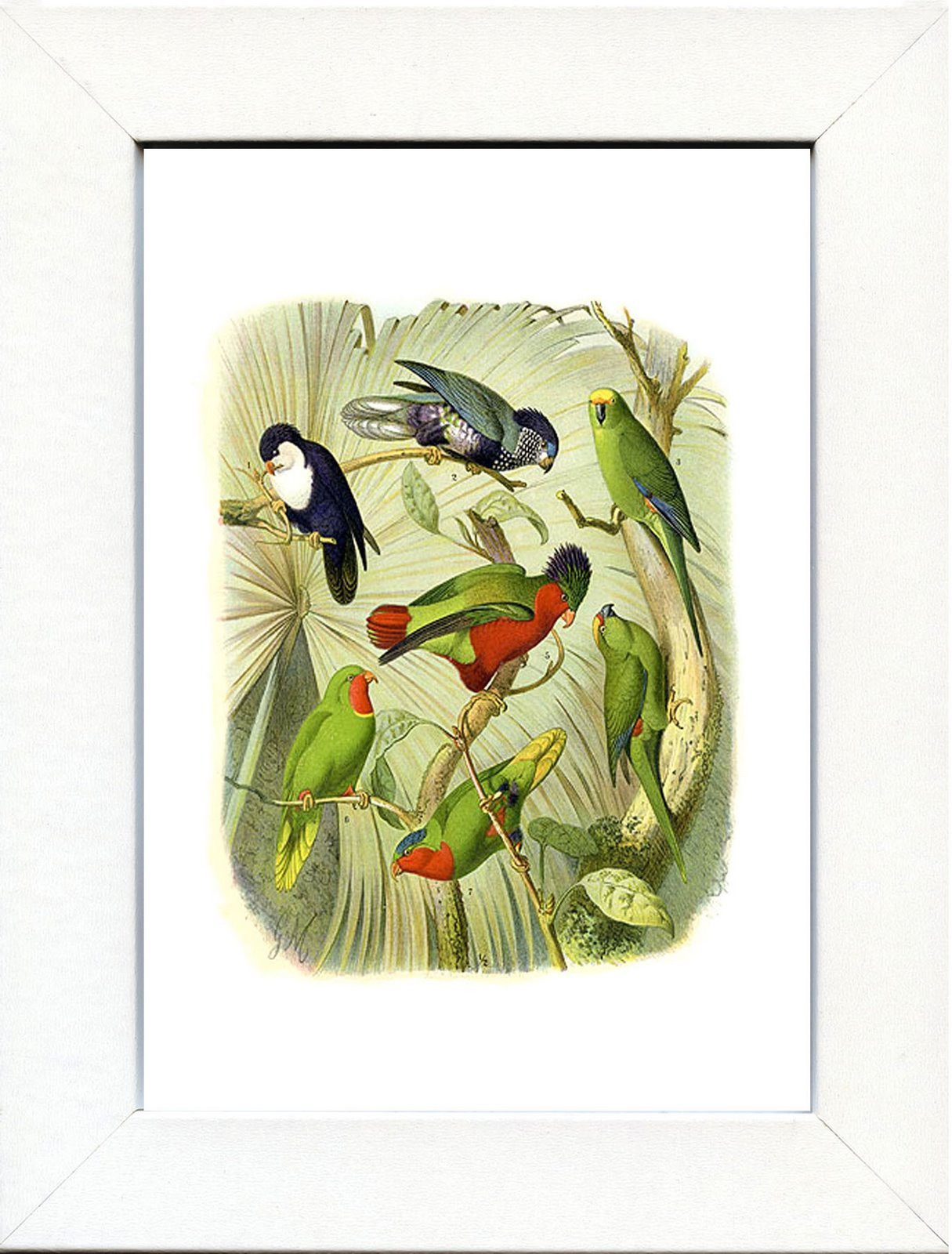 jjjewel.resimlerim: PAPAĞAN TEMALI RESİMLER