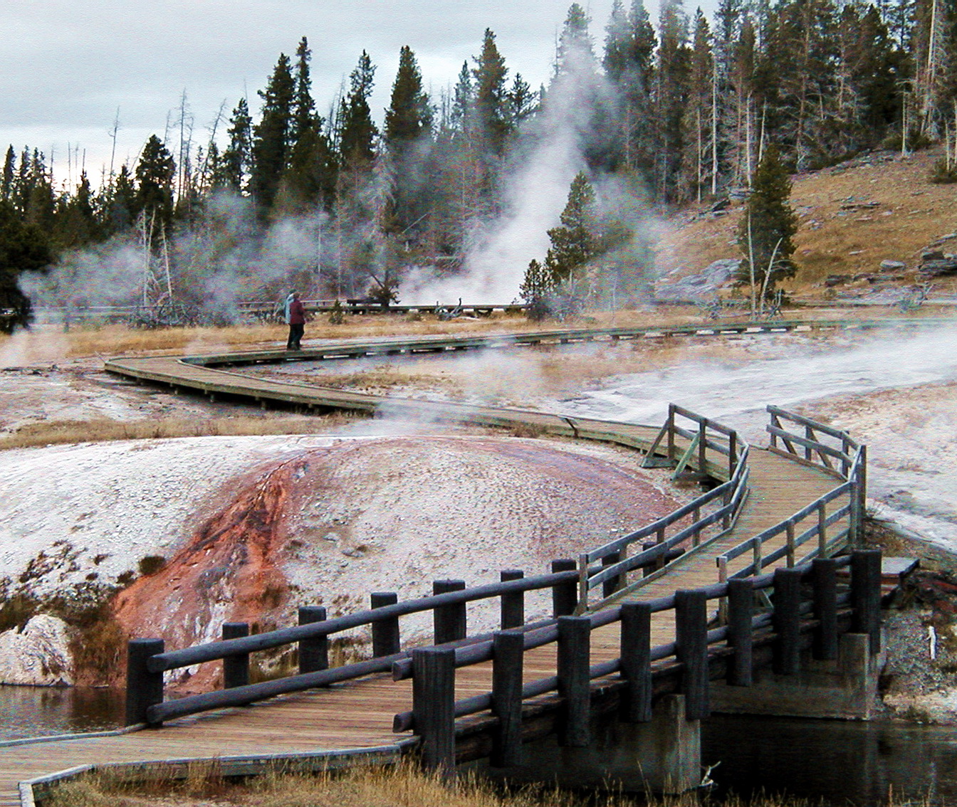 Focusing On Travel : Yellowstone: A Geyser Gazers Guide to the Upper ...