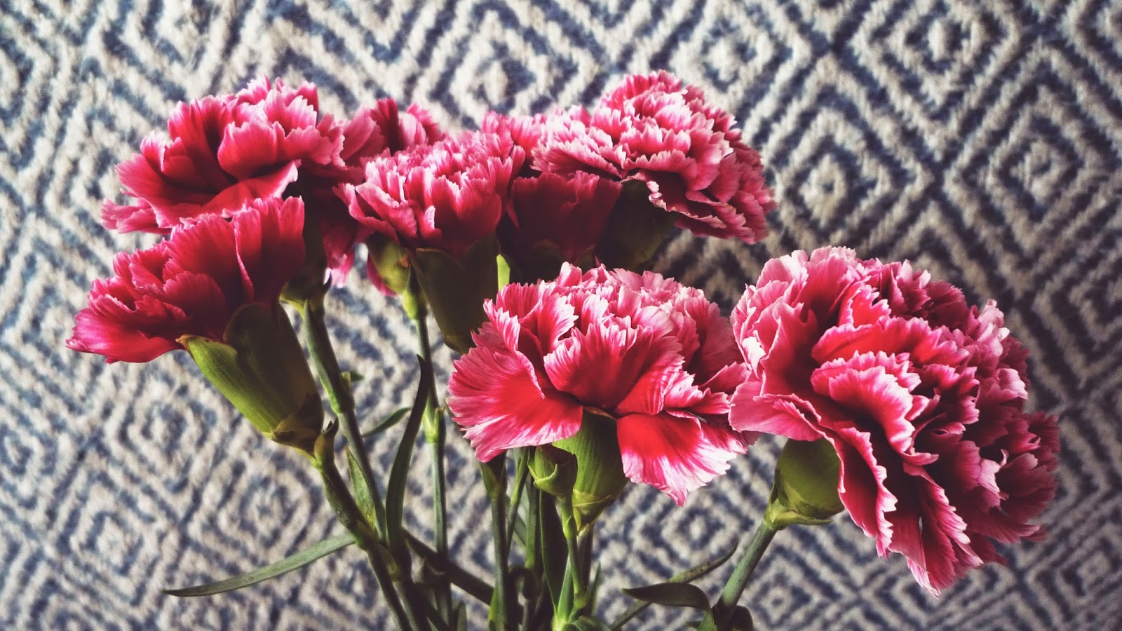 Flora in the Garden: Anjers