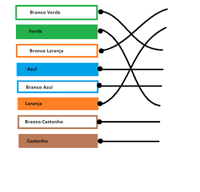 Caderno Digital: Redes de Comunicação: Modulo 2