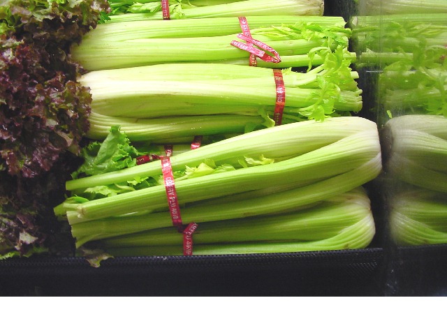 SEBZE RESİMLERİ-Manzaralar