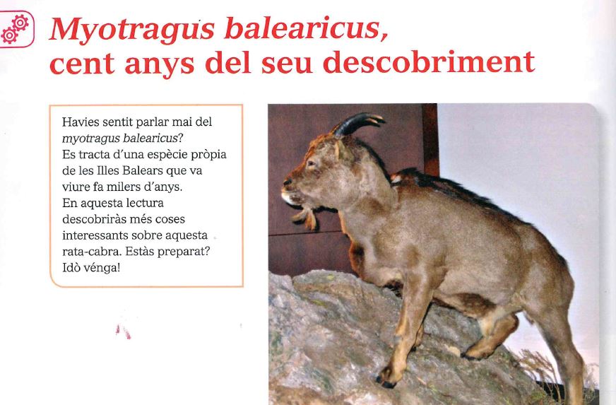 CEIP VIALFÀS - 5è PRIMÀRIA 2021/2022: Comprensió lectora. T13 ...