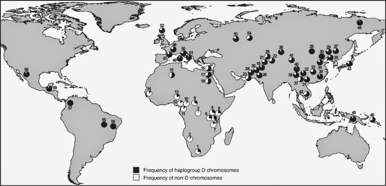Evo and Proud: The riddle of Microcephalin