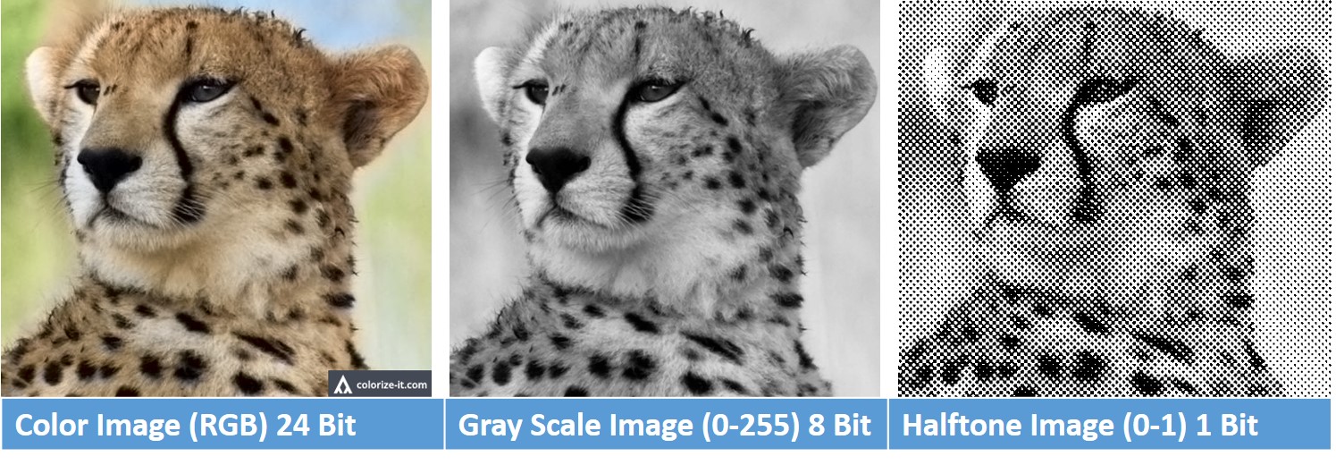 Digital Half Toning Ordered Dithering Matlab Code Bayer Ulichney