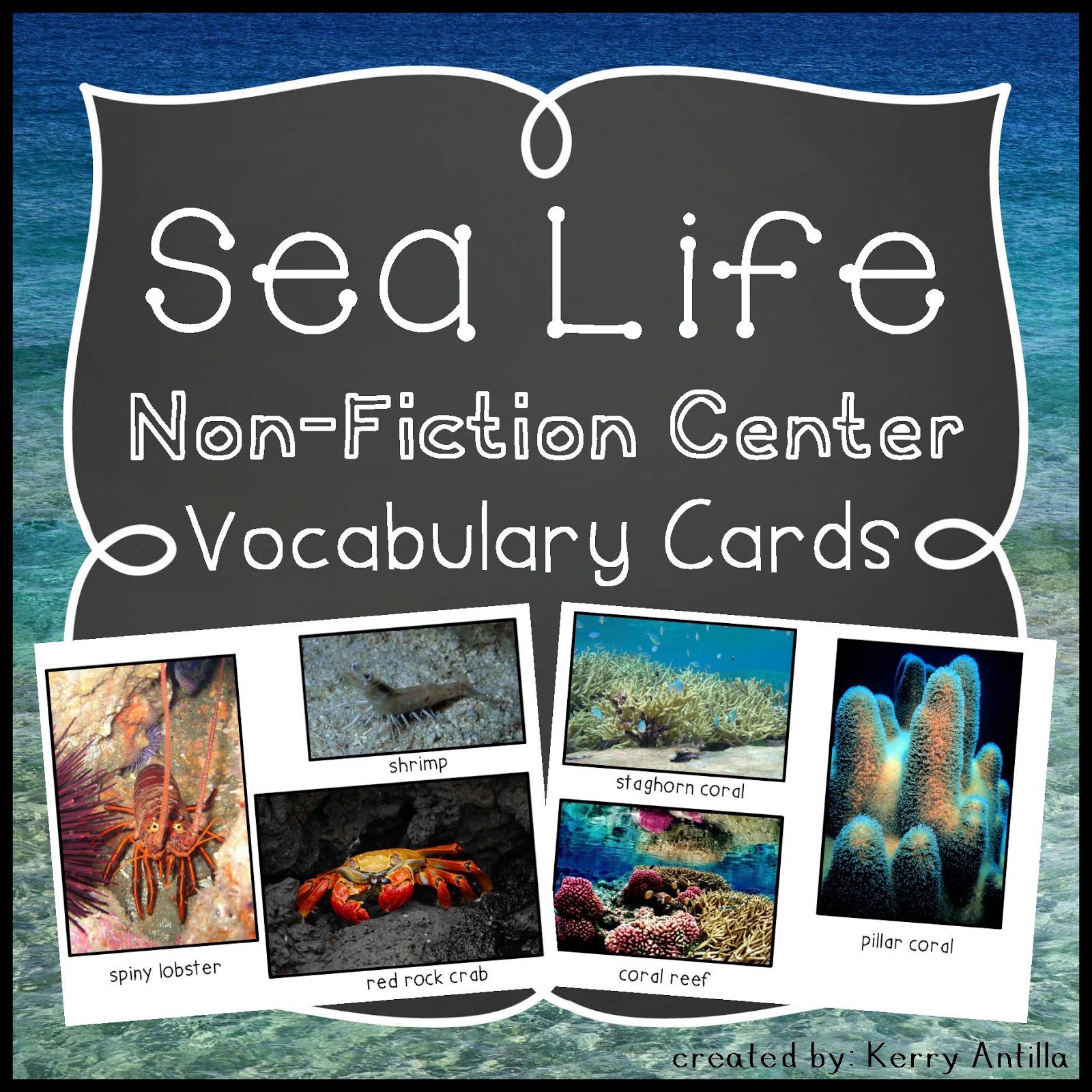 Kindergarten Kerry: Non-Fiction Literacy Center