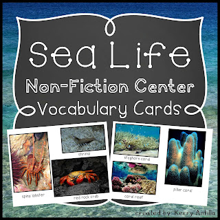 Kindergarten Kerry: Non-Fiction Literacy Center