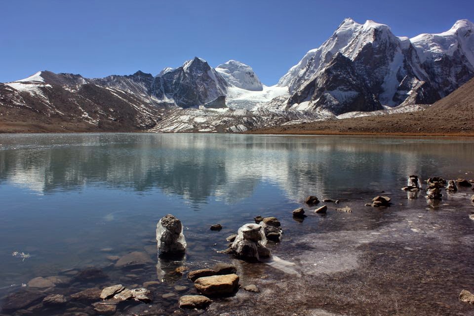 NACHER WALLPAPERS | Goods Wallpaper