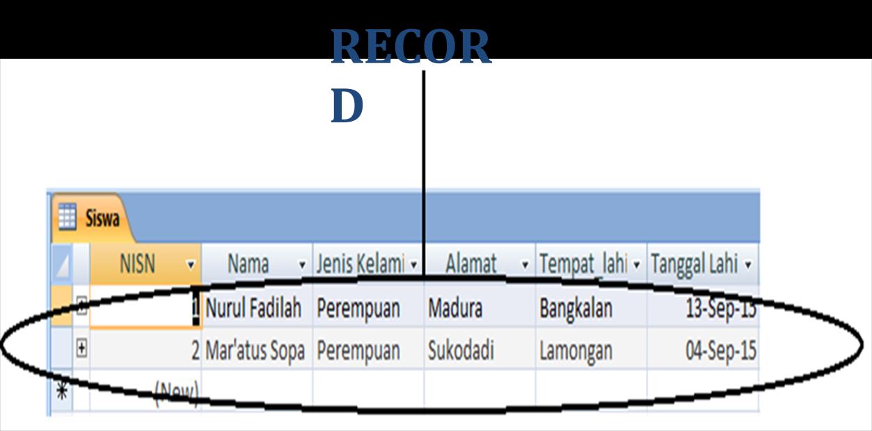 Anak Informatika Wajib Tau Istilah ini dalam DataBase (Basis Data ...