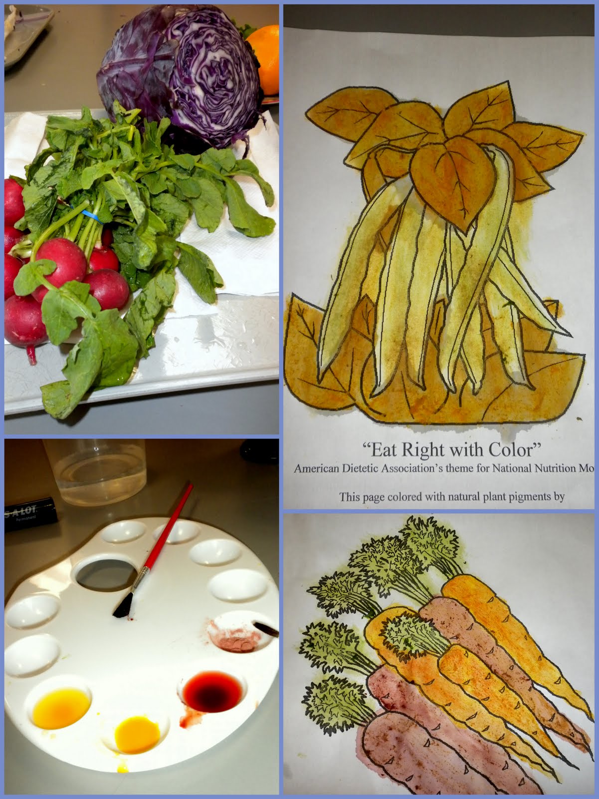 GardenCuizine: Nutrition Education and Art Activity for National ...