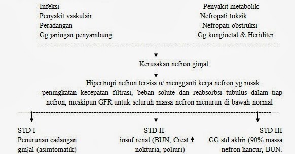 Blog Wijj: Asuhan Keperawatan Dengan Gagal Ginjal Kronik/ Chronic ...