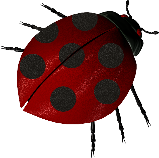 Só png: JOANINHAS EM PNG