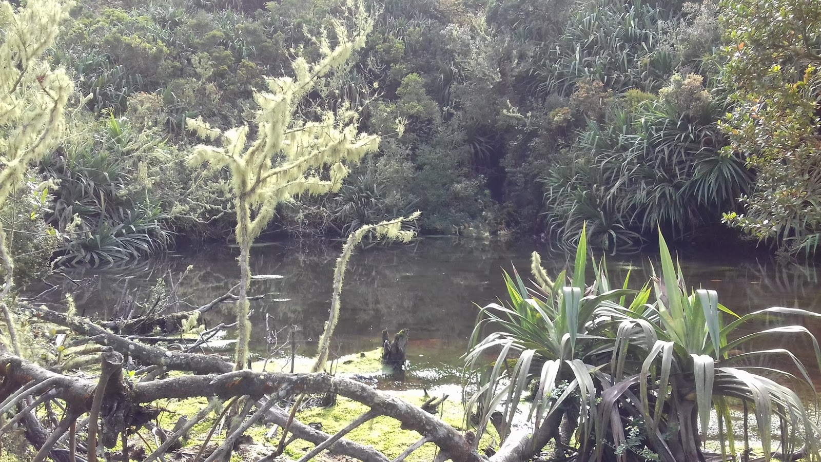 MENGINTIP BIDADARI DI TELAGA PUTRI SIBAYAK - Pandan Adventure