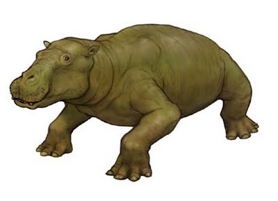 Los animales en la prehistoria: Animales prehistóricos con la letra B