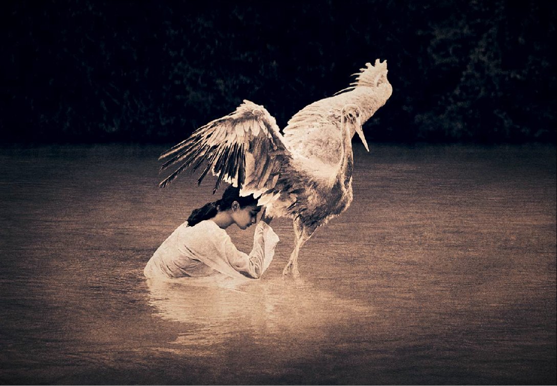 Adrian Dafonte Fotografía : Gregory Colbert: Ashes and Snow