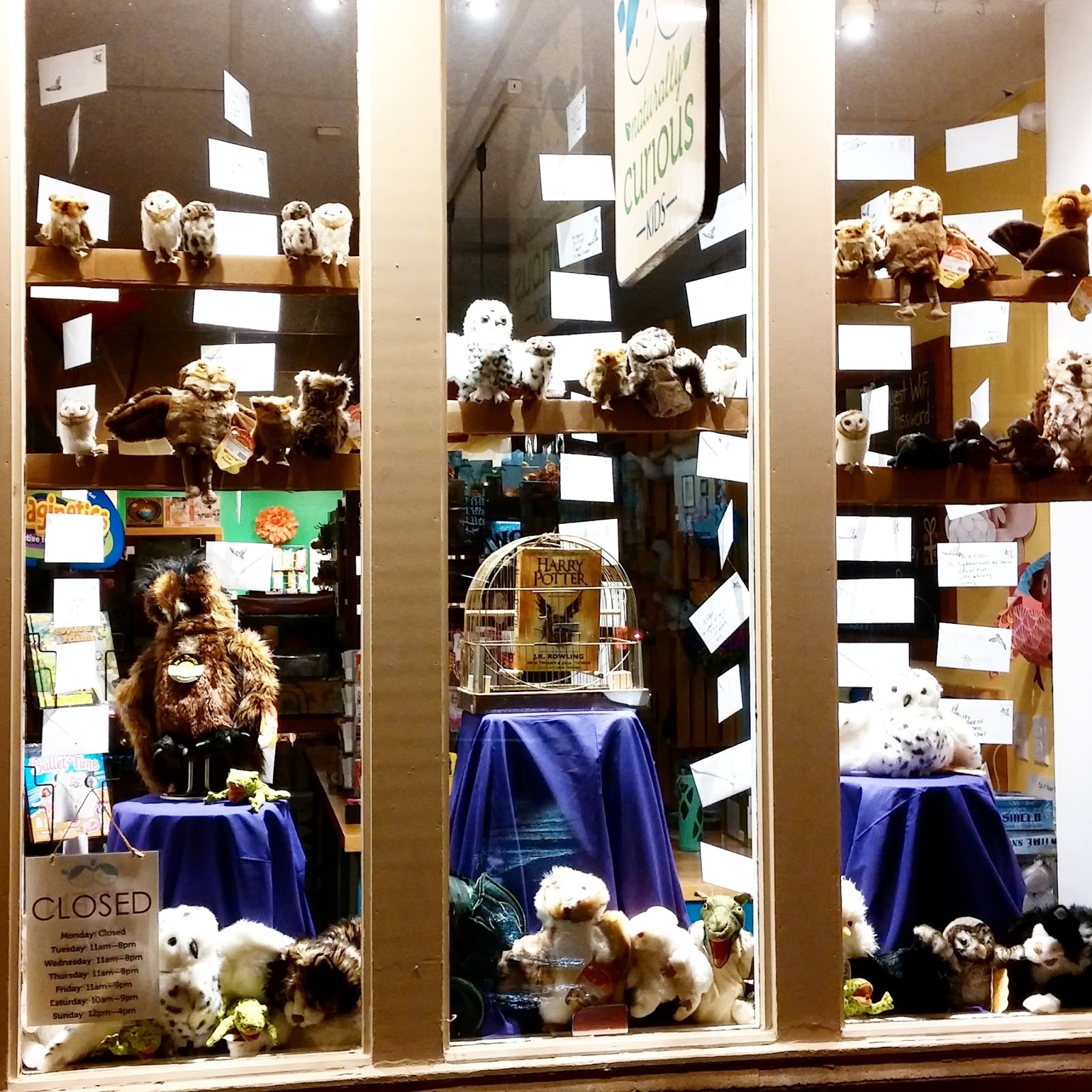 Whimsical Ways: Harry Potter window display