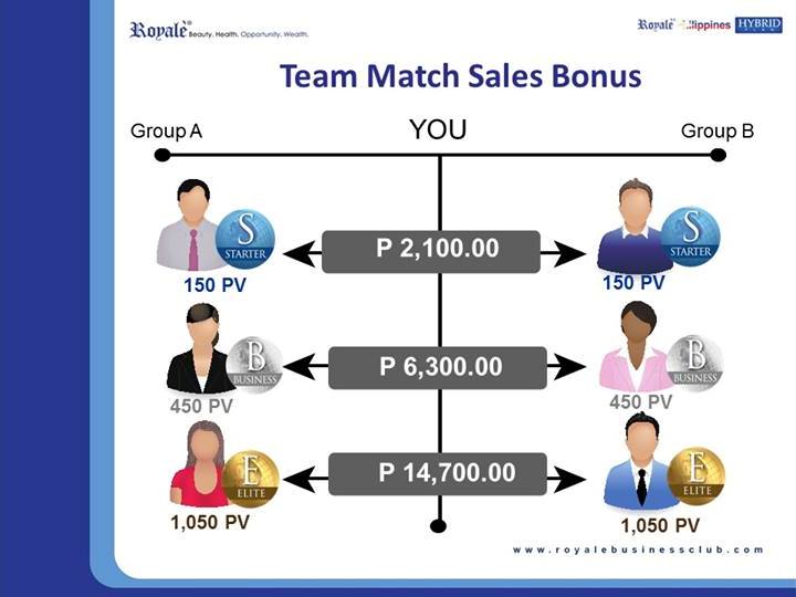 Royale Business Club International - The Hybrid Plan: How To Start Your ...