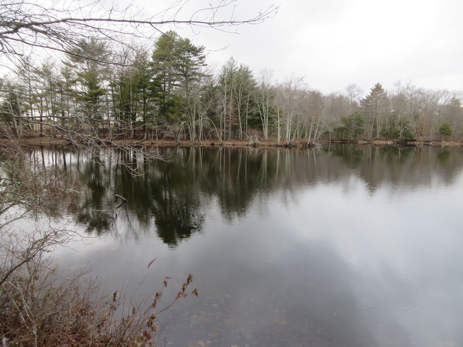 Southern New England Outdoor and Nature Site: Tillinghast Pond, West ...