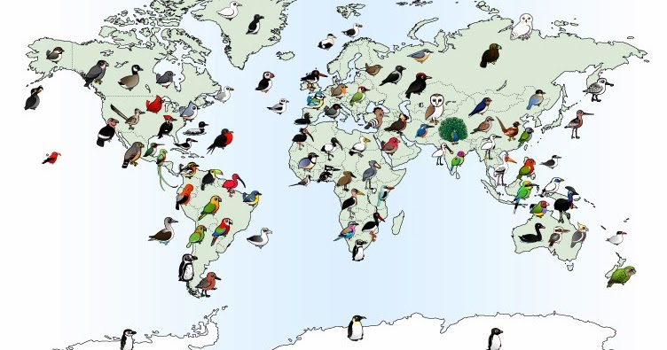 English in eMotion: BIRDS ALL OVER THE WORLD