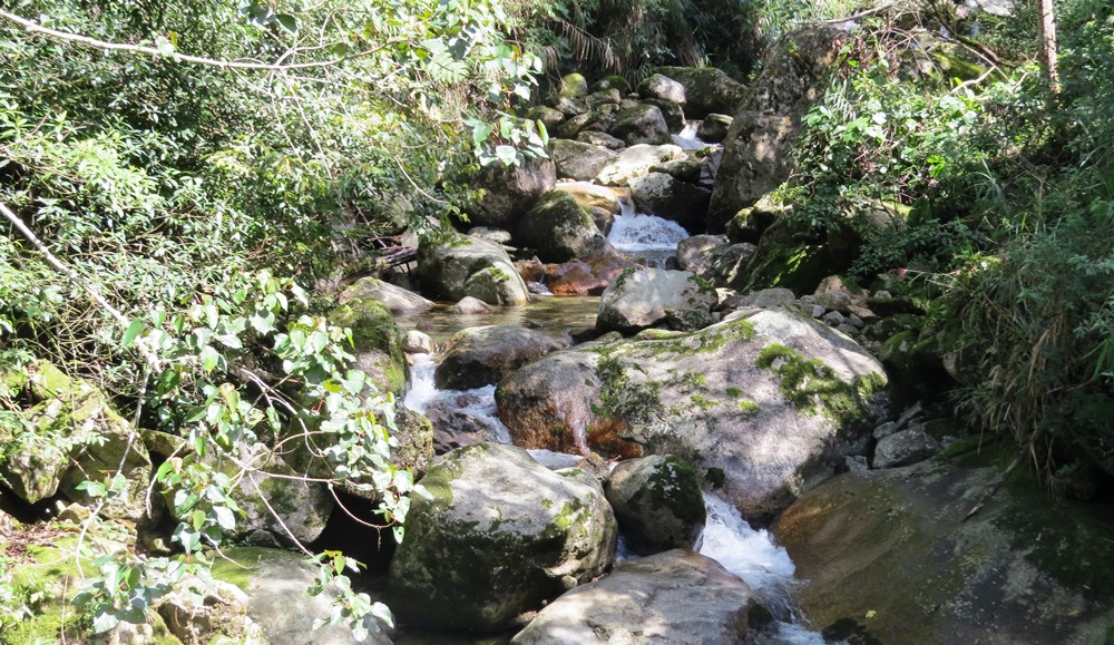 KINABALU: MESILAU NATURE PARK