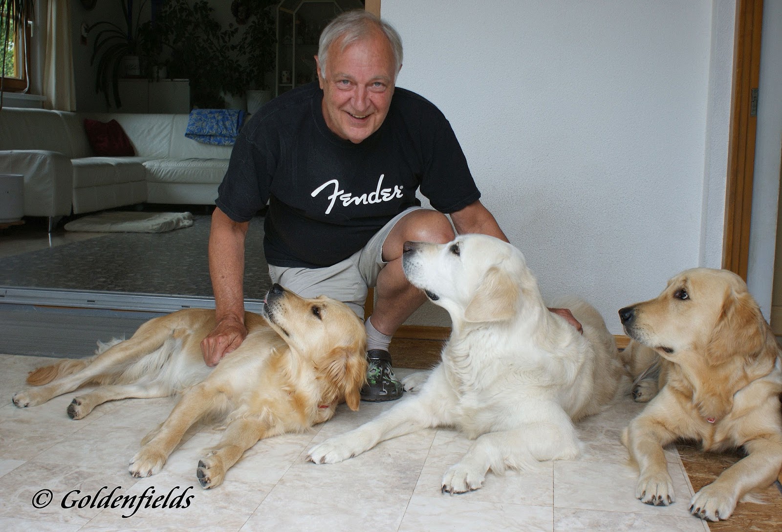 Goldwelpen - Golden Retriever Welpen Familienzucht: Lieber Besuch von ...
