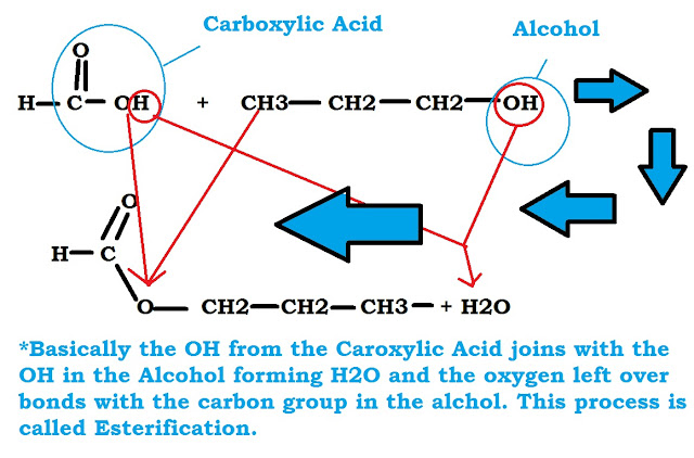 CHEMISTRY 11: ESTERS!