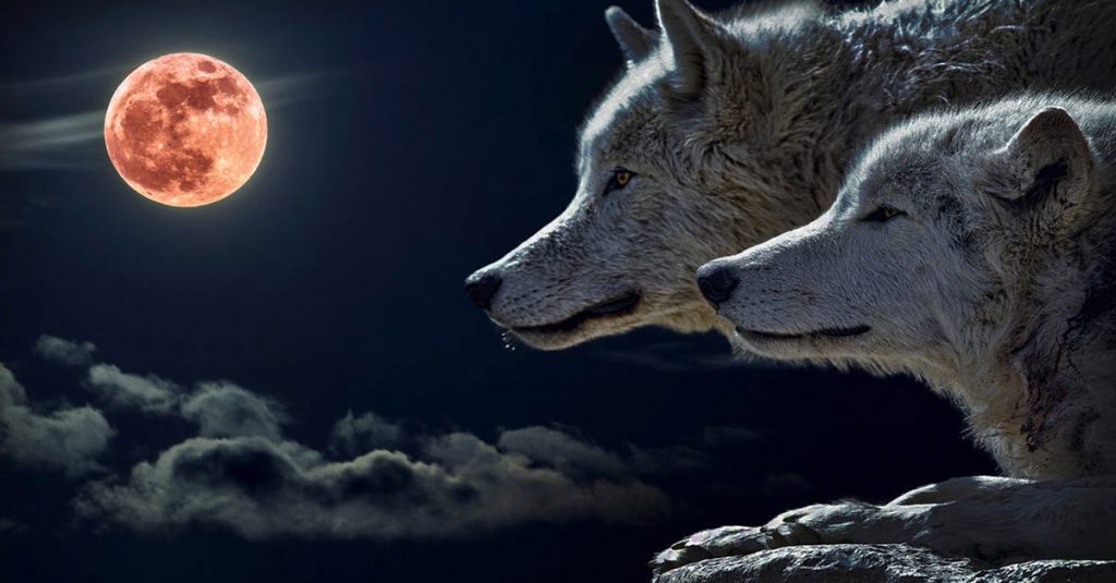 Esbat Julho - Lua do Lobo