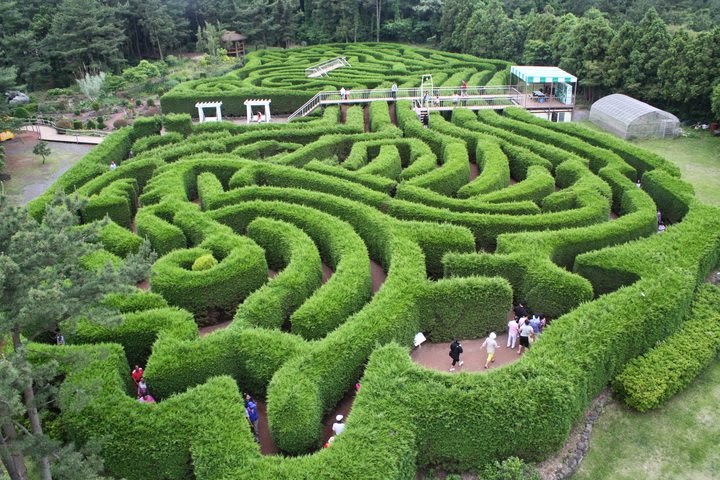 English Guide of Jeju Island: Mazeland