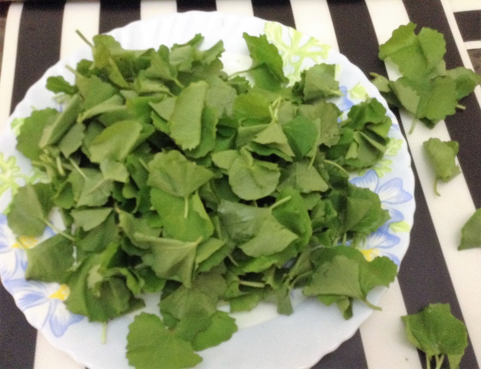 Bethica's Kitchen Flavours: Thankuni Pata Bora (Centella Leaves ...