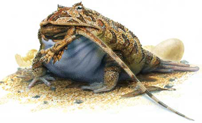 El Gallipato Alcublano: 10/04/11 - 17/04/11