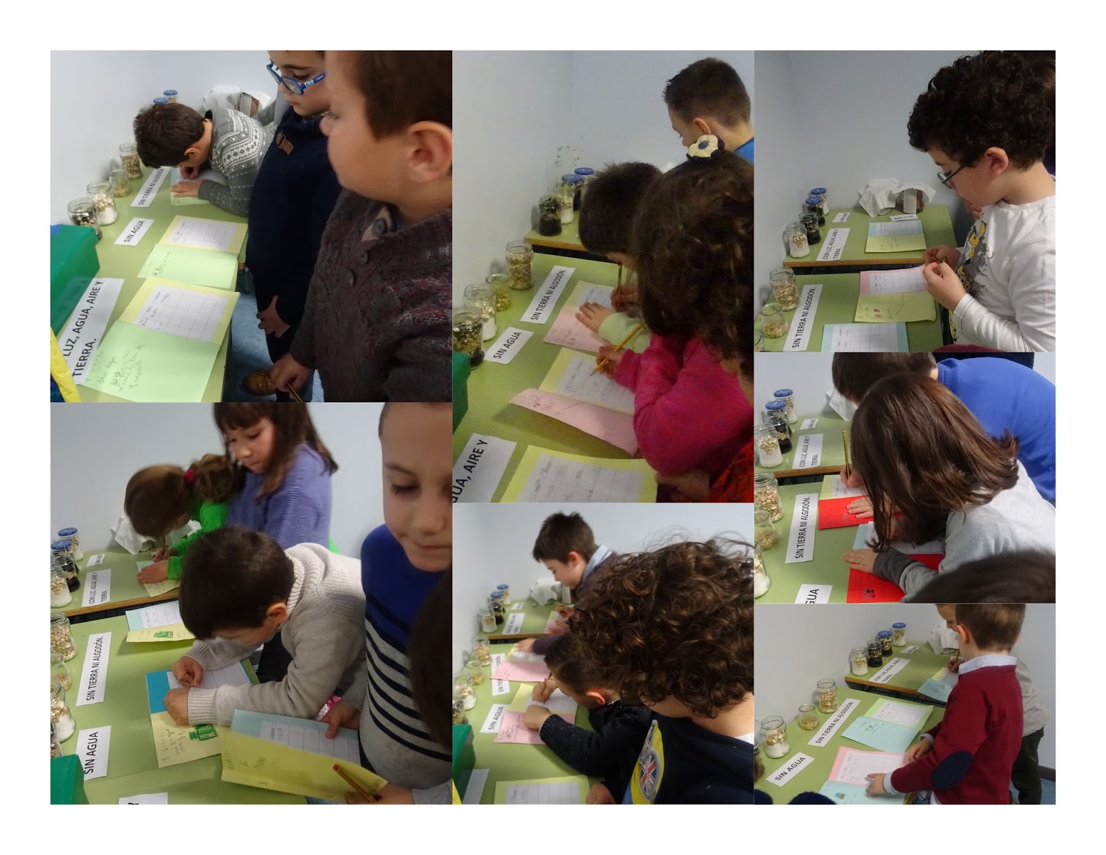 EL MÉTODO CIENTÍFICO