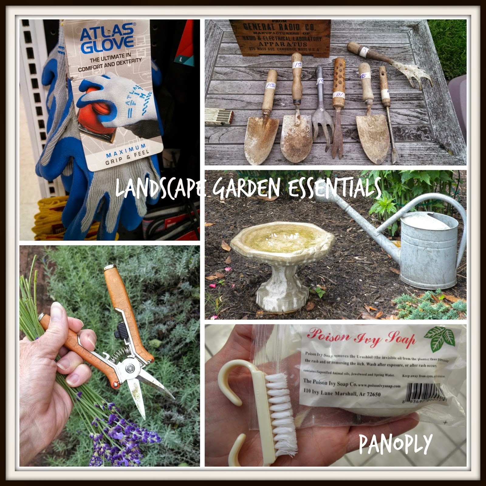 Panoply: My Landscape Garden Essentials