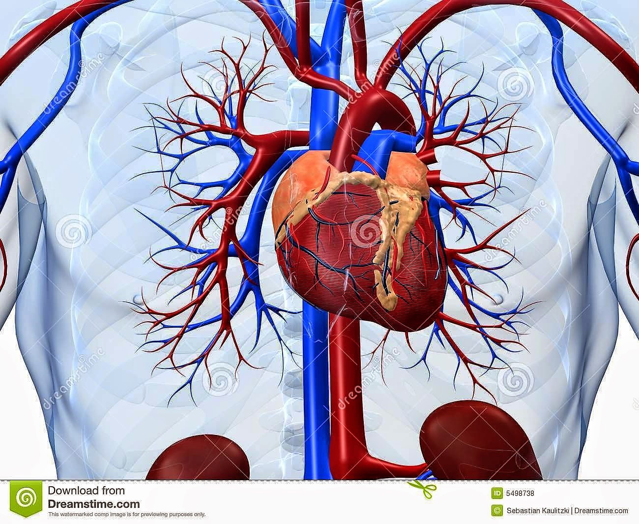 Fieggentrio: Je hart.