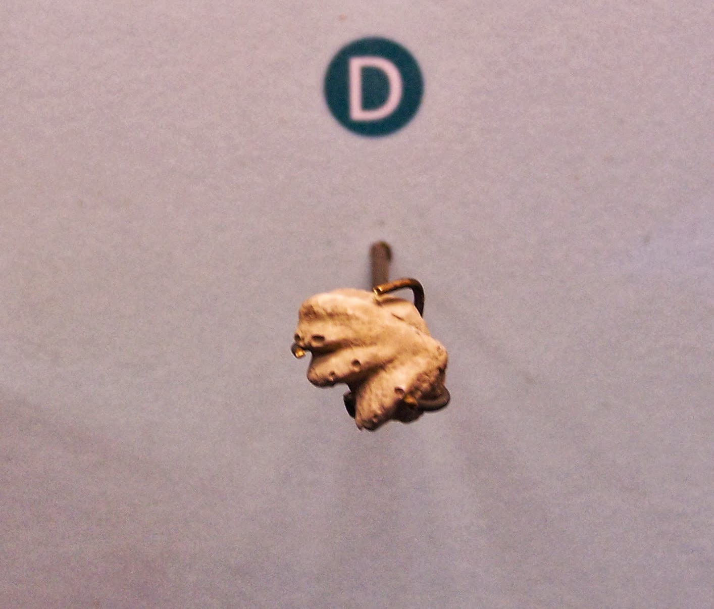 The Natural World: September 2013