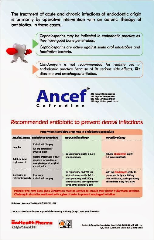 Pharmaceutical Advertisement Collection: Cefradine (Dental Care) Ancef