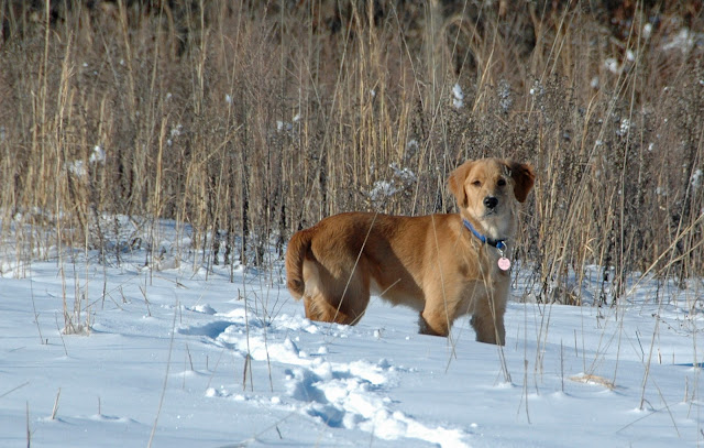 Ramblings By Stan Crader