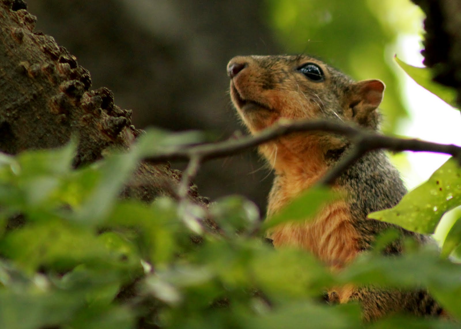 Ponderings of an Elect Exile: Reminders of Grace...