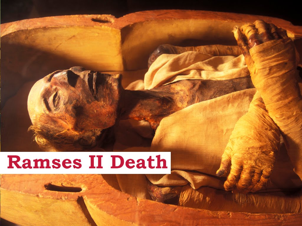 King Ramses ii History - Ramses ii Facts - Egypt History