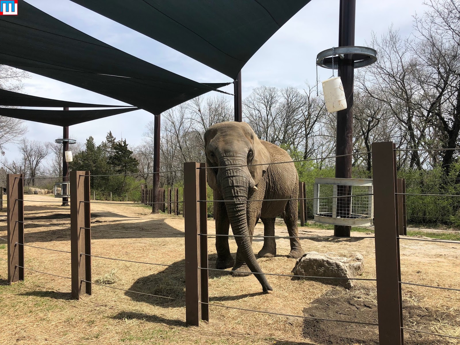 MidwestInfoGuide: Kansas City Zoo
